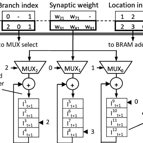 Weight Distribution Module With 3 Input Synapse Data Per Cycle In This