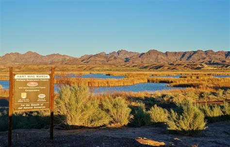 Exploring The Cibola National Wildlife Refuge