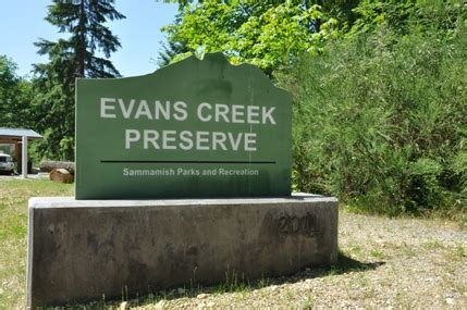 Evans Creek Preserve City Of Sammamish