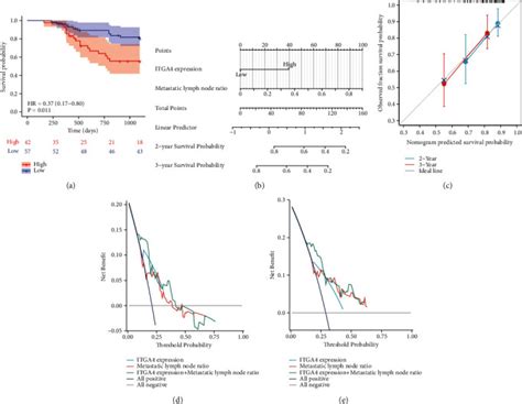 Lymph Node Metastasis Related Gene Itga4 Promotes The Proliferation Migration And Invasion Of