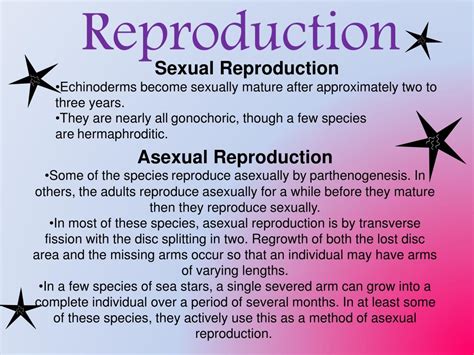 Ppt Phylum Echinodermata Powerpoint Presentation Free Download Id2056044 Ppt Phylum Echinodermata Powerpoint Presentation Free Download Id2056044