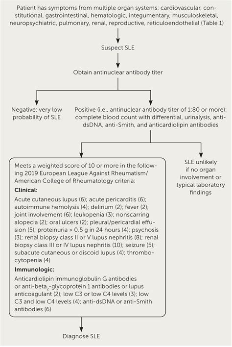 Lupus Diagnosis Of Lupis Clinical Guidance