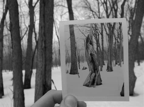 Frame Within A Frame Photo By Alex Bissonnette