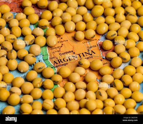 Soybeans On Map Of Argentina South America Farming Soybean Exports