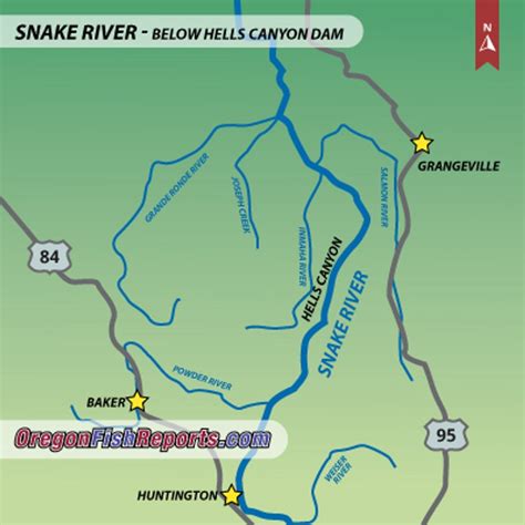 Snake River Below Hells Canyon Reservoir Fish Reports And Map