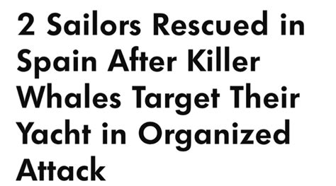 Ben Has Had Enough Album On Imgur