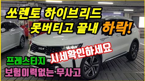 중고차 판매가3450만원 Suv하이브리드 차량 중 가장 인기좋고 판매율좋은 4세대 쏘렌토16하이브리드 시세 꼭 확인하세요 Youtube