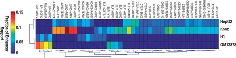 The Majority Of Tf Interactions Are Celltype Specific Heat Map View