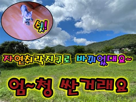 강화도 토지 급매매 소문내지 말고 얼른 오세요 네이버 블로그