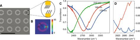 A Scanning Electron Micrograph Of A Typical Srr Array Scale Bar Is 1