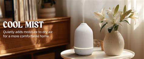 Essential Oil Diffuser 100ml Aromatherapy Diffuser Mini