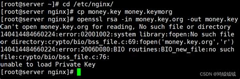 linux简单搭建web网站 linux部署网页 csdn博客