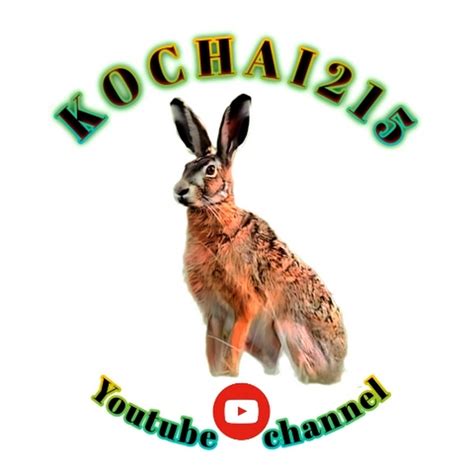 شـکـارزن کـوچـی Youtube