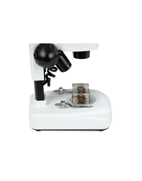Educational Stereo Microscope With Led Celestron S20 Stereo Microscope