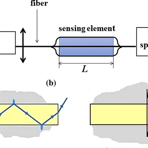 Schematic Of The Fiber Based Spectroscopic Sensor A Ray Optics B Download Scientific