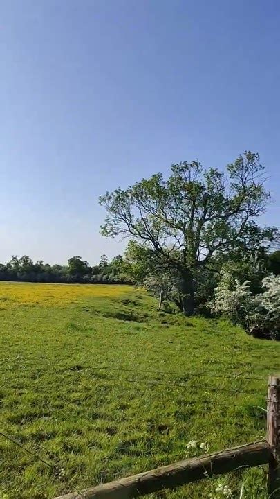 Doğa Doğa Yeşillik Ingiltere England Green Nature Naturelovers Youtube