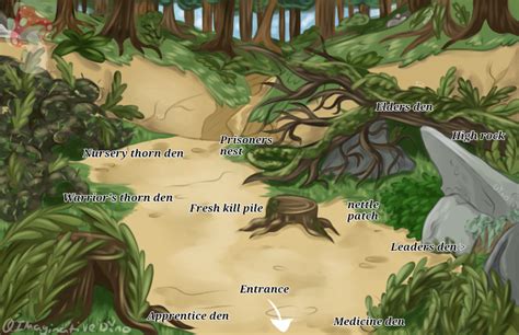 Acampamento Do Lago Thunderclan Dos Gatos Guerreiros Thunderclan Camp