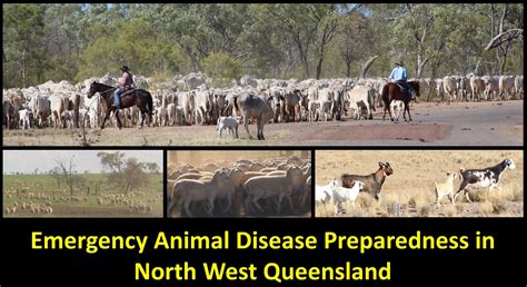 Government Services In North West Queensland To Meet Biosecurity Concerns · Agforce · Advancing
