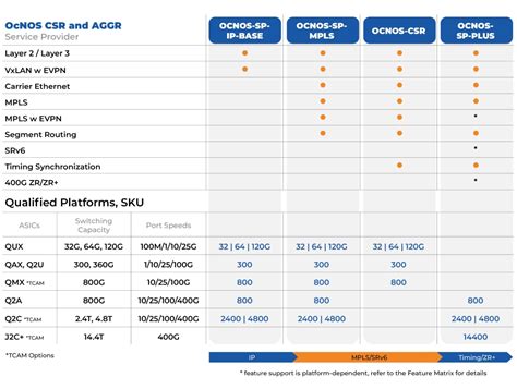 Ip Infusion Disaggregated Networking Solutions