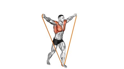 10 Best Cable Shoulder Exercises For Maximum Strength And Definition
