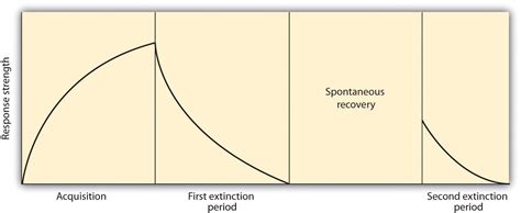 81 Learning By Association Classical Conditioning Introduction To