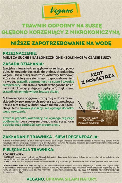 Trawnik Odporny Na Suszę Vegano Z Mikrokoniczyną 1 Kg Target Sklep Dla Ogrodu