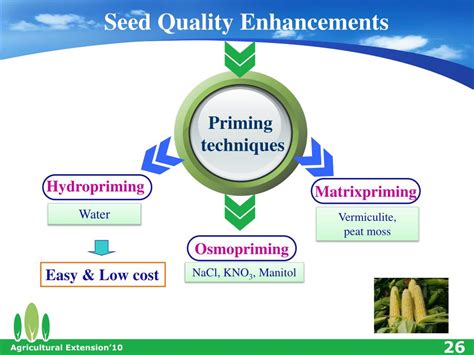 Ppt Effect Of Hydropriming And Sugar Metabolism On Germination Of