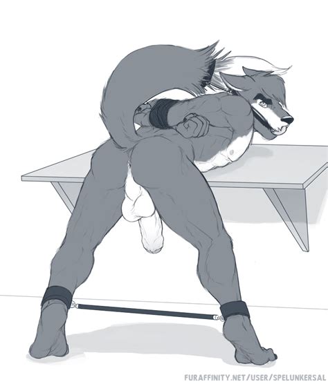 Rule 34 Backsack Gag Jeran Male Only Mouth Gag Neopets Perineum