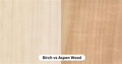 Birch Vs Aspen Which One Is Better Timber Blogger