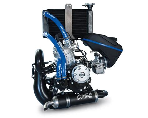 Polini Thor 303 Engine 38hp Liquid Cooled Ultralight Power — Mini Max Usa