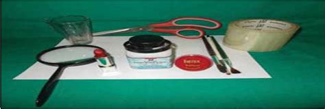 Journal Of Forensic Science And Medicine