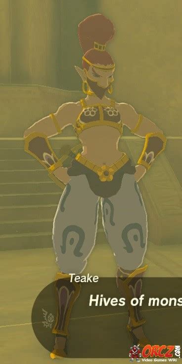 Tears Of The Kingdom Teake The Video Games Wiki