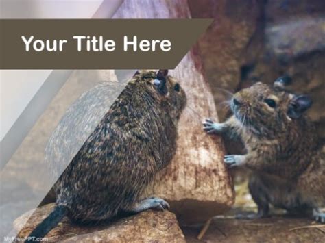 Free Mouse PowerPoint Templates MyFreePPT