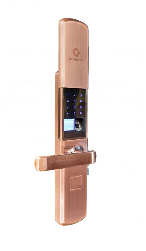 Ph N Bi T C C Lo I Pin Pin S C V Pin Ti U Kh C Nhau Nh N O