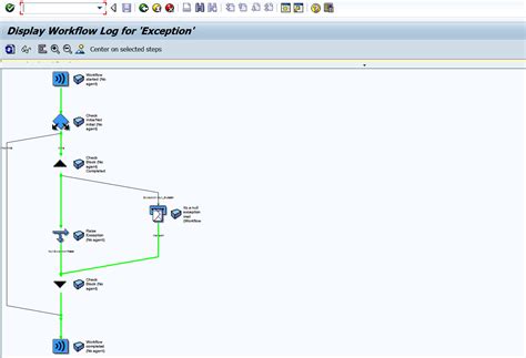 Raising And Handling Exception In Work Flow Sapcodes