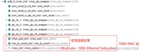 Fpga实现 Nic 100g 网卡，gty100g Ethernet Subsystem架构，纯verilog代码实现，提供2套工程源码和
