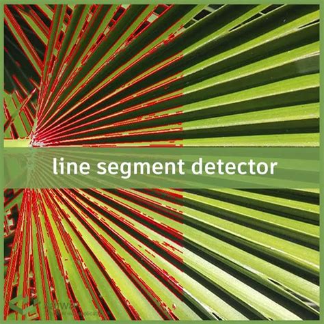 Line Segment Detector Youtube