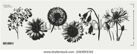 Stippled Eye Over 494 Royalty Free Licensable Stock Vectors And Vector