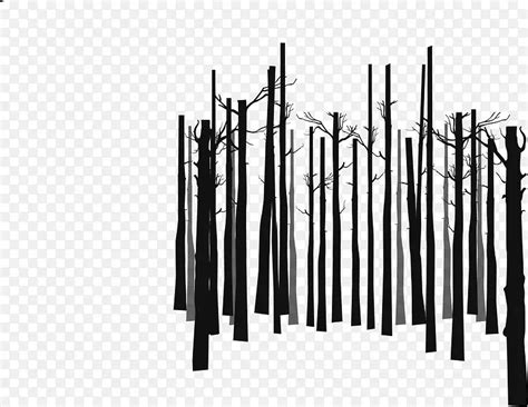 树干，树枝，枝干，植物png图片素材下载图片编号10780039 Png素材网