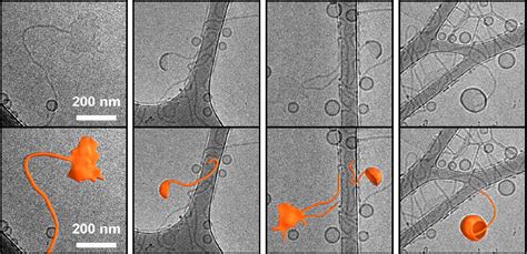 Figure 3 From In Situ Monitoring Of Block Copolymer Self Assembly Via