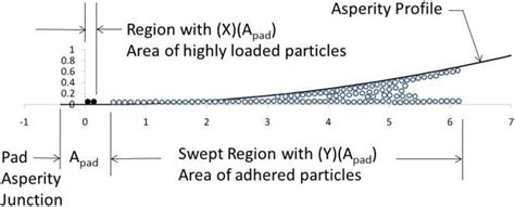 Schematic Cross Sectional Diagram Approximately To Scale Showing The Download Scientific