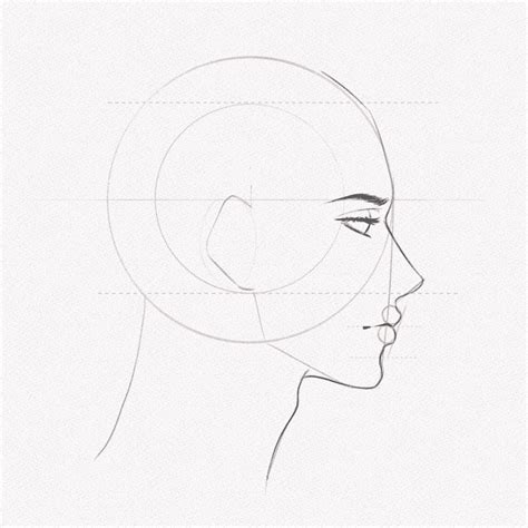 10 Side View Face Drawing Mosescorrey
