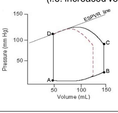 Ventricular Pressure Volume Loops Preload Afterload And Contractility Flashcards Quizlet