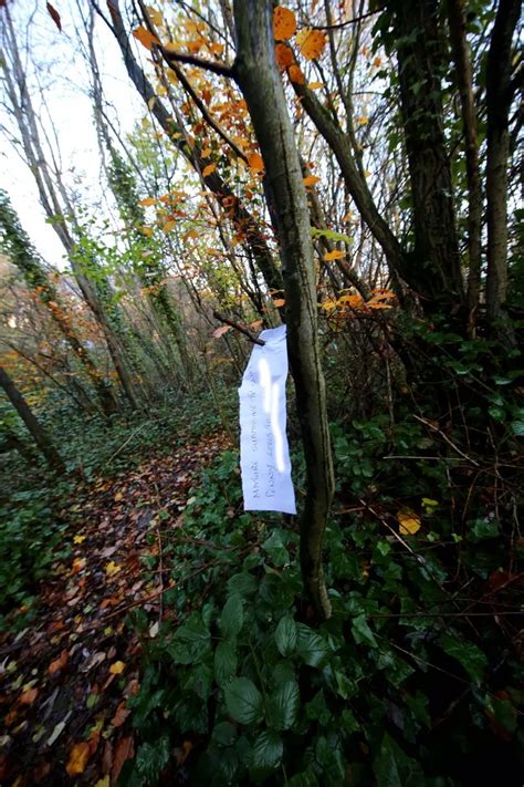 Sex Spot In Woods Close To M62 Junction Yorkshirelive