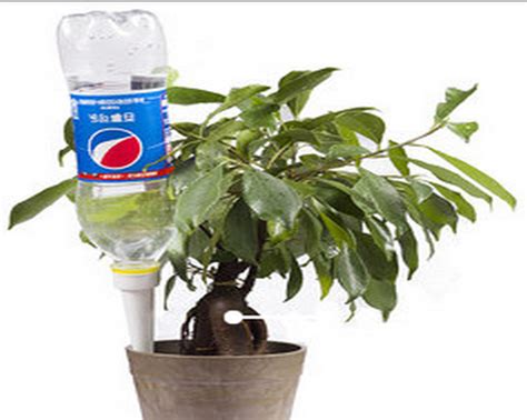 简易自动定时浇花器360新知 简易自动定时浇花器360新知