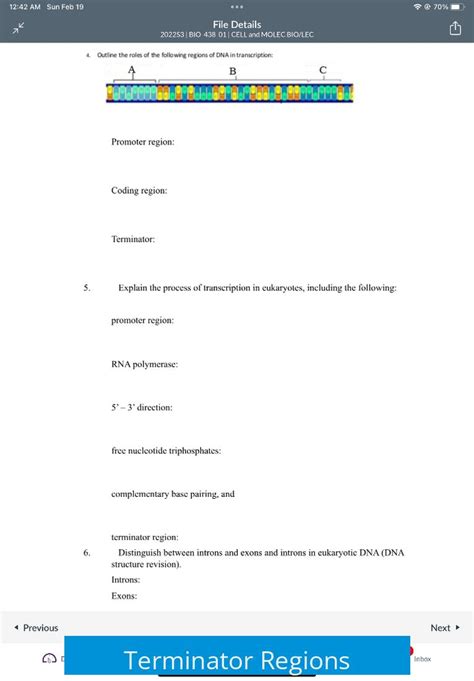 Understanding Promoter And Terminator Regions In Dna For Effective