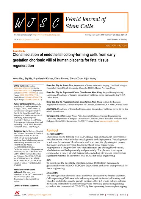 Pdf Clonal Isolation Of Endothelial Colony Forming Cells From Early