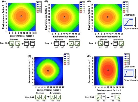 Upstream Versus Downstream Environmental Regulation With No