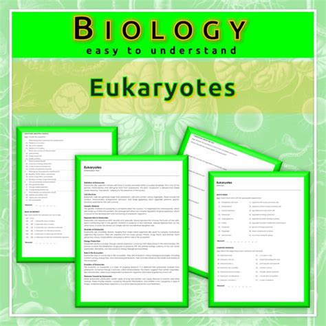 Biology Easy To Understand Eukaryotes Infotext Exercises By