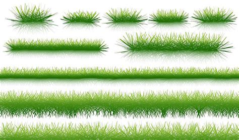 Green Natural Organic Grass Background And Texture Organic Ecology Outdoor Vector Organic